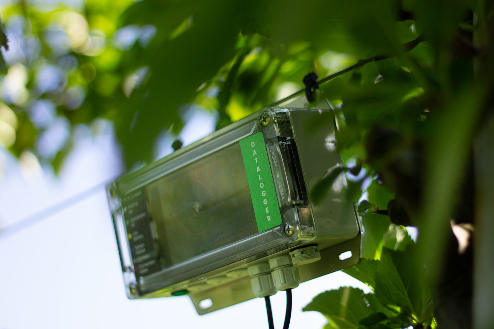 SoilSense - Soil moisture sensors for smart irrigation